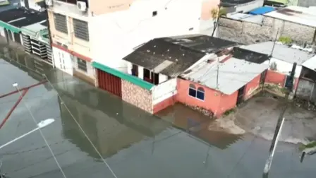 Calles inundadas y árboles caídos tras intensa lluvia en Guayaquil
