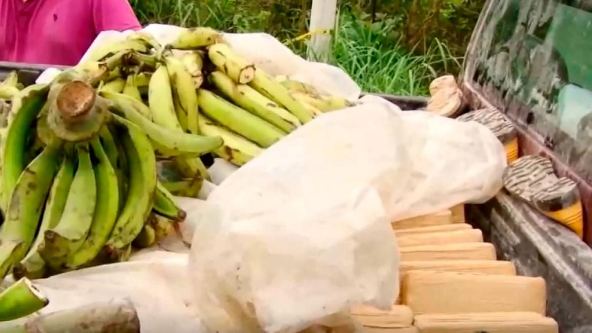 Encuentran Una Camioneta Cargada Con 110 Bloques De Marihuana