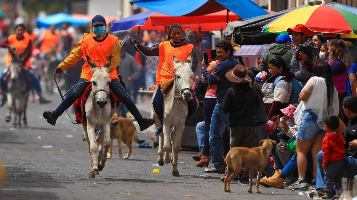 Carrera de burros más grande del mundo en Salcedo