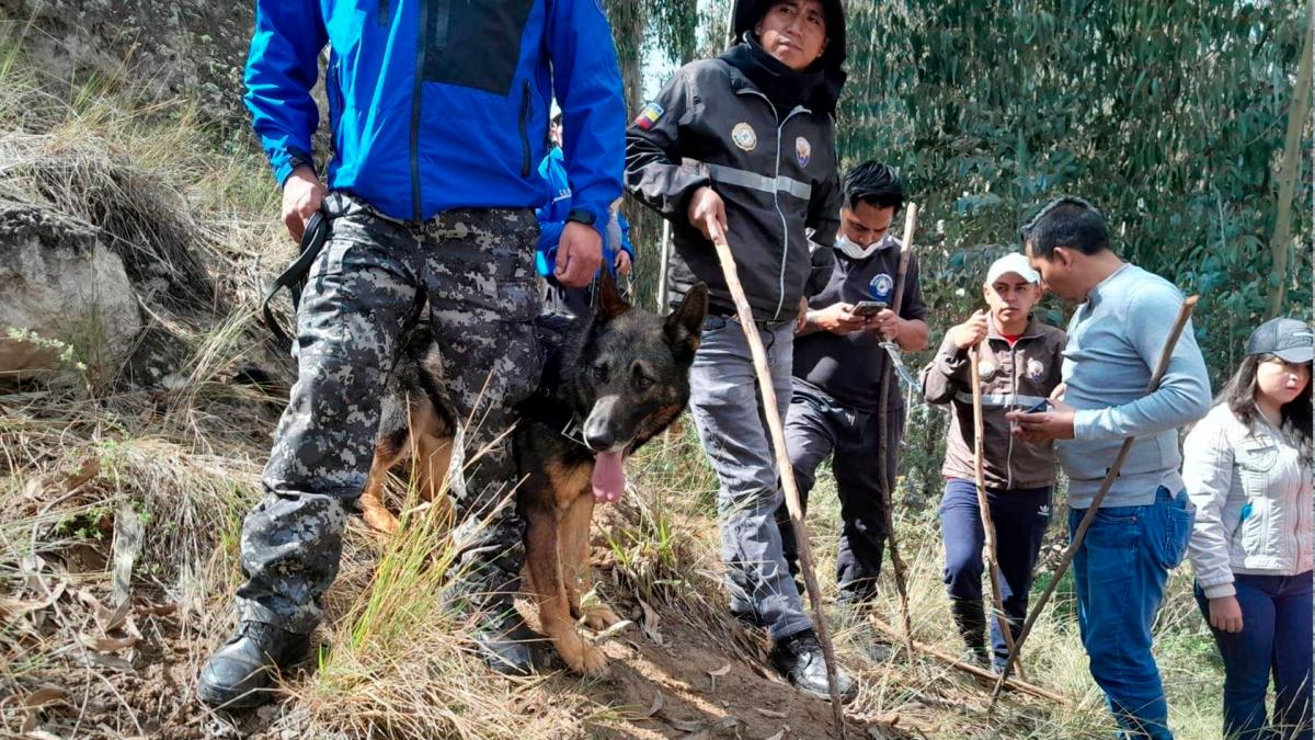 Encuentran restos que podrían ser de Madison, de 6 años, desaparecida ...