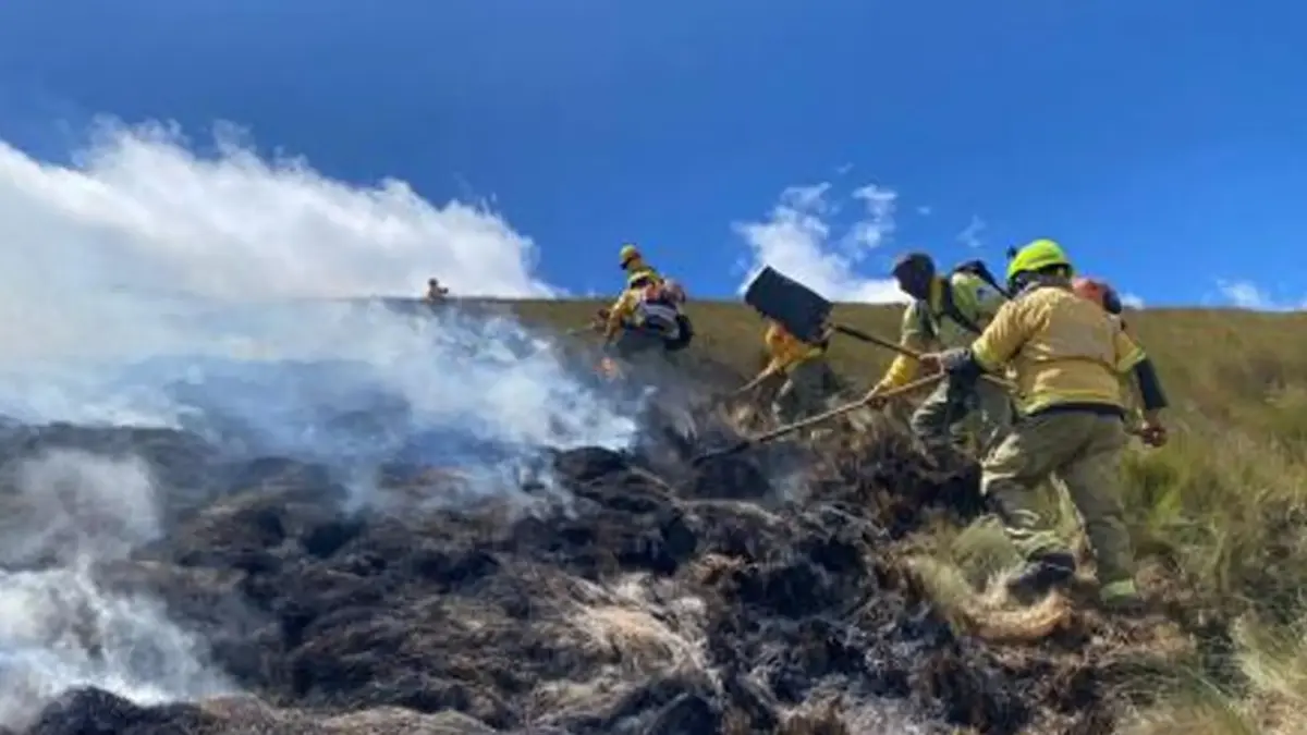 Quito: Controlado el incendio en el páramo El Marco, en Píntag