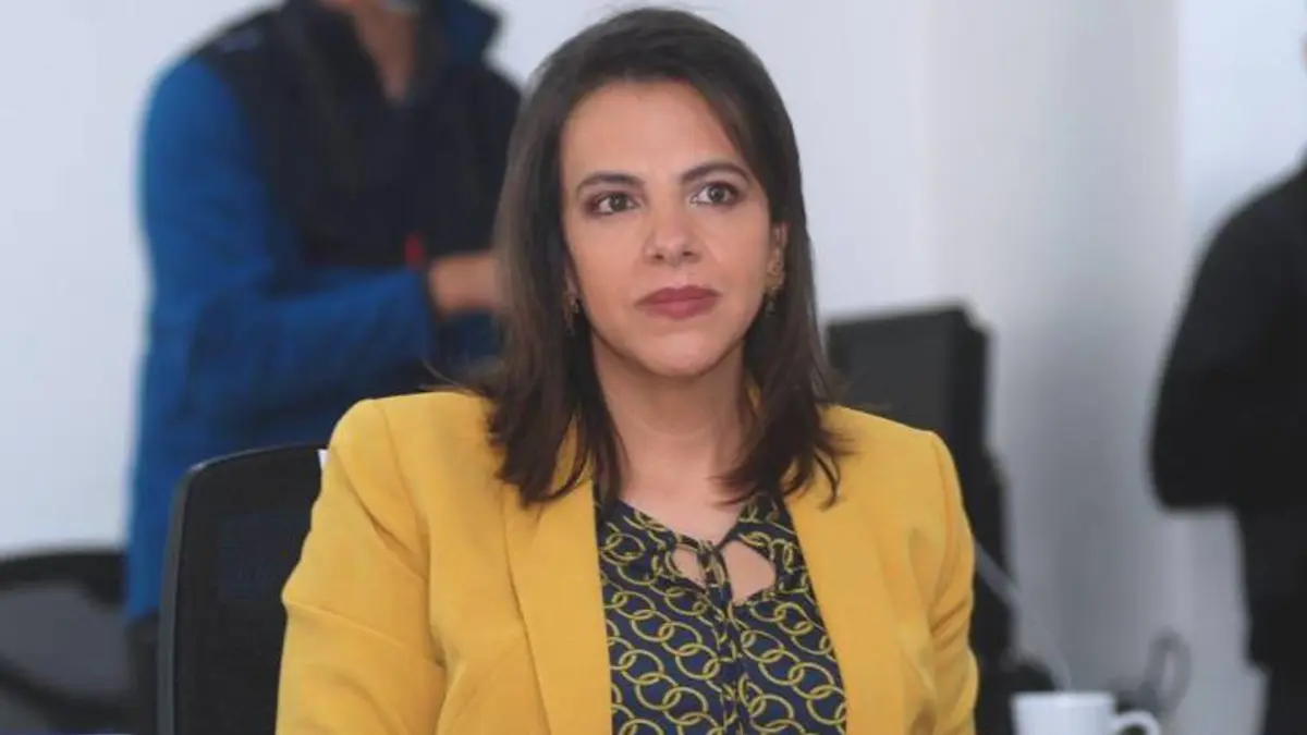 María Paula Romo: El asesinato de Fernando Villavicencio tuvo ...