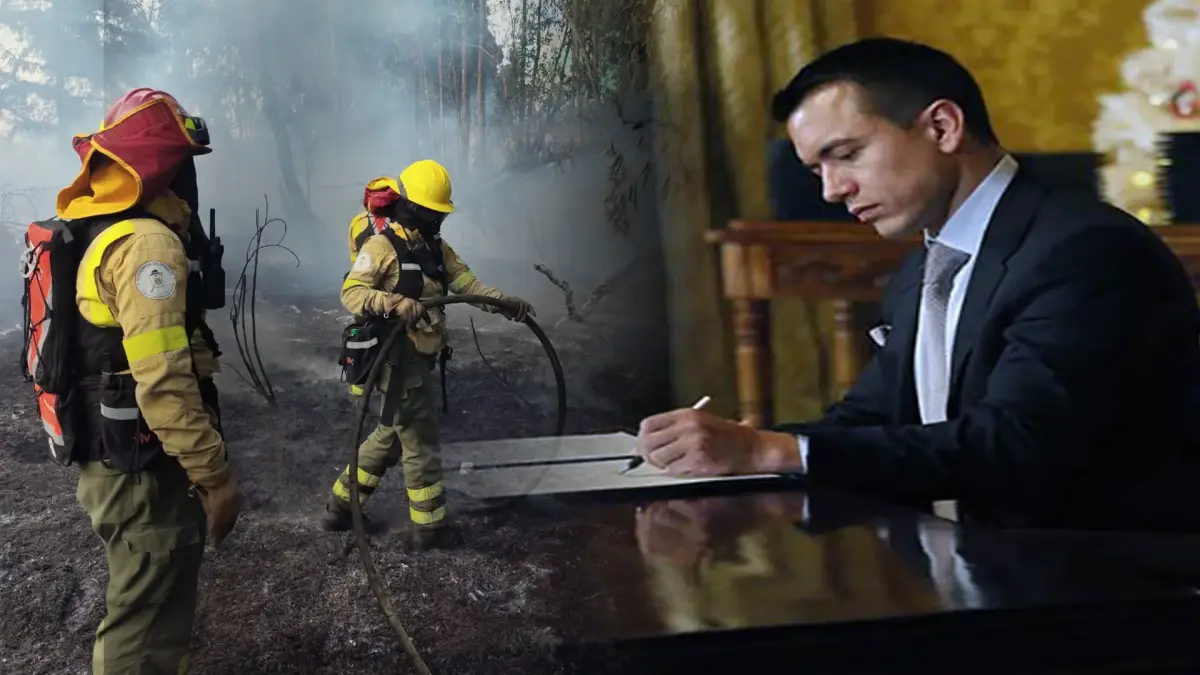 Noboa veta la Ley de Prevención y Defensa contra incendios por 'errores ...