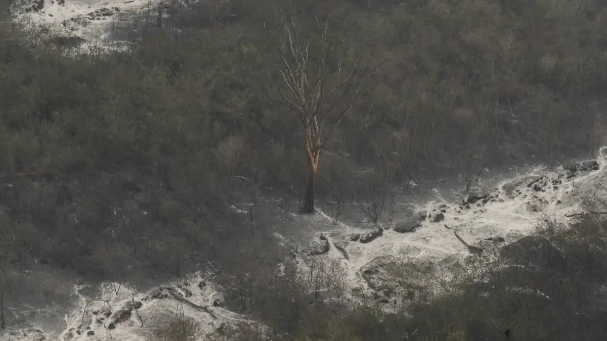 Paraguay lucha contra un incendio que ya lleva 11 días y arrasó 190 000 ...