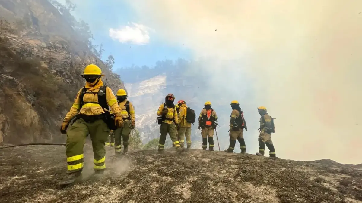 Bomberos liquidan el incendio en Guápulo y lo califican como el más ...