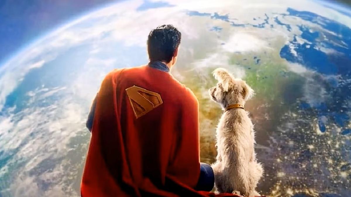 Intención de adoptar mascotas crece por 'Krypto', el perro de Superman ...