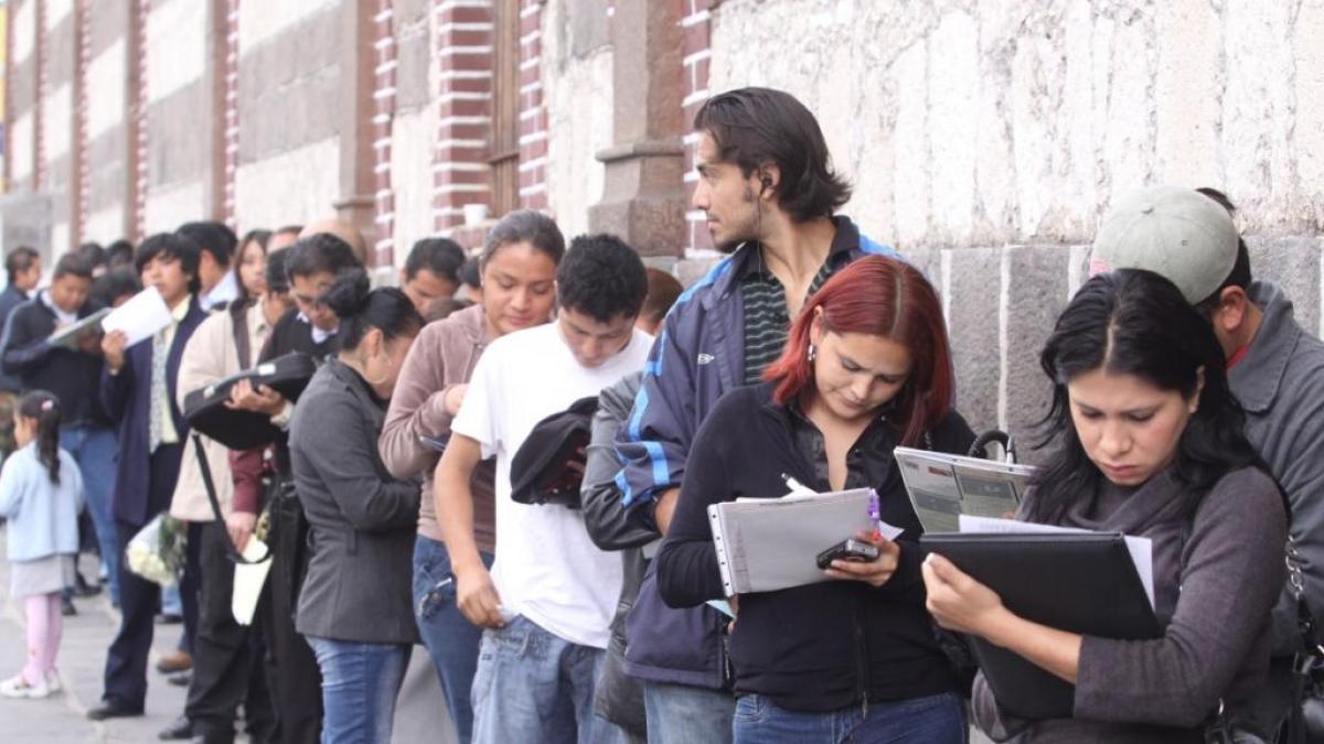 Tasa de empleo, desempleo...; así está el panorama laboral en Ecuador ...