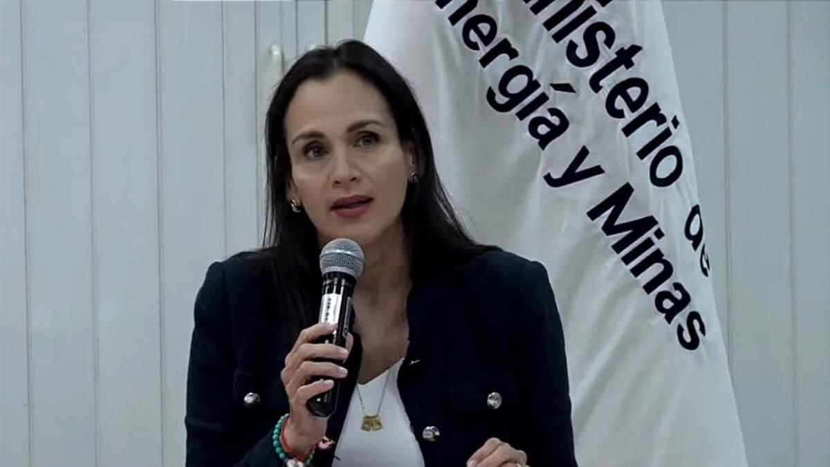 Ministra de Ambiente y Energía, Inés Manzano, no irá a juicio político ...