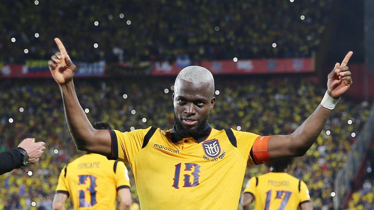 ¡Los partidos de Ecuador en vivo! Teleamazonas transmitirá 40 juegos ...